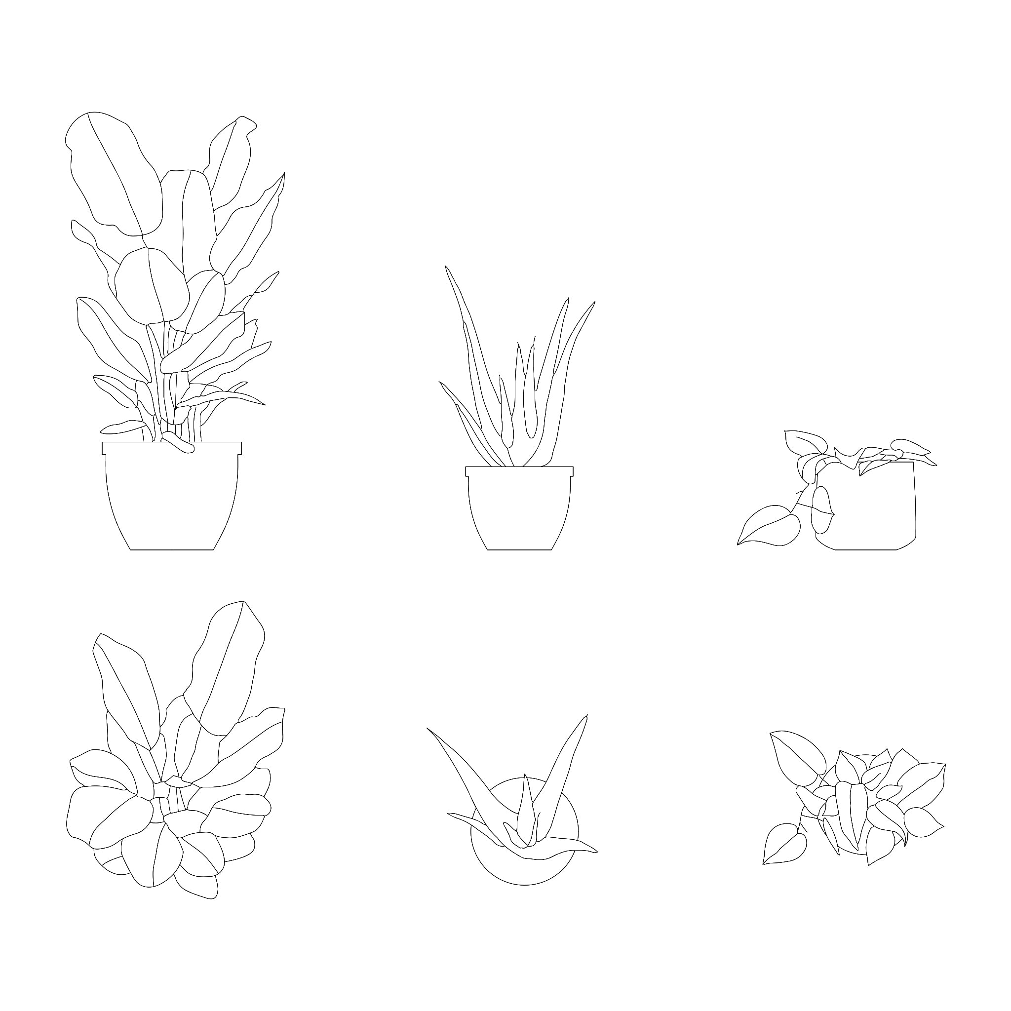 Potted Plants DWG CAD Blocks in Plan and Elevation – Cadnature