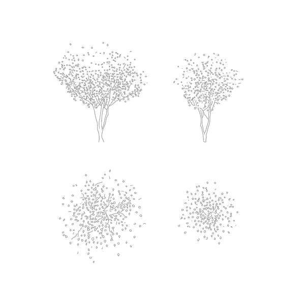 Japanese Plants and Trees DWG CAD Blocks in Plan and Elevation (25+ Pi ...