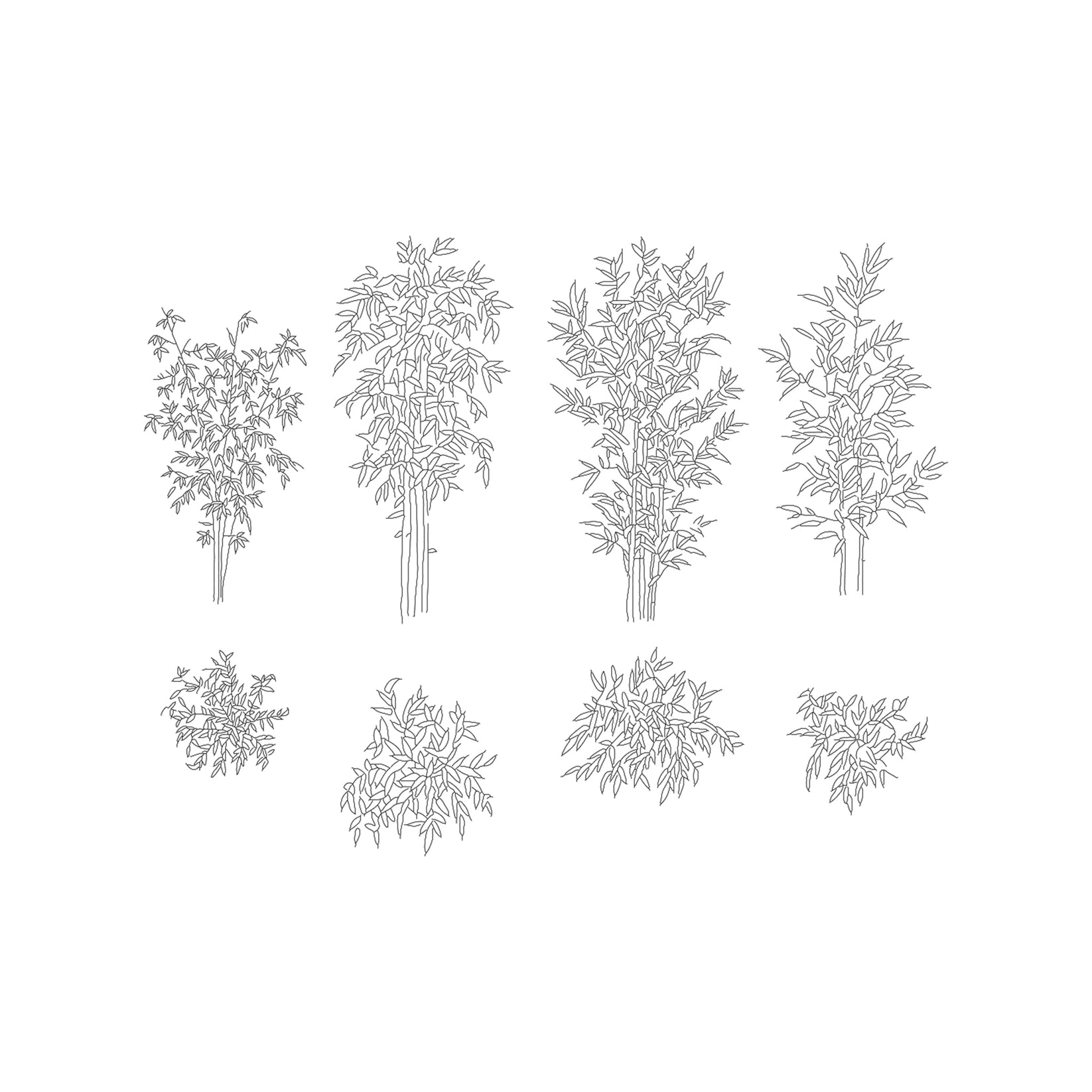 Bamboo Dwg Cad Blocks In Plan And Elevation 20 Pieces Cadnature 