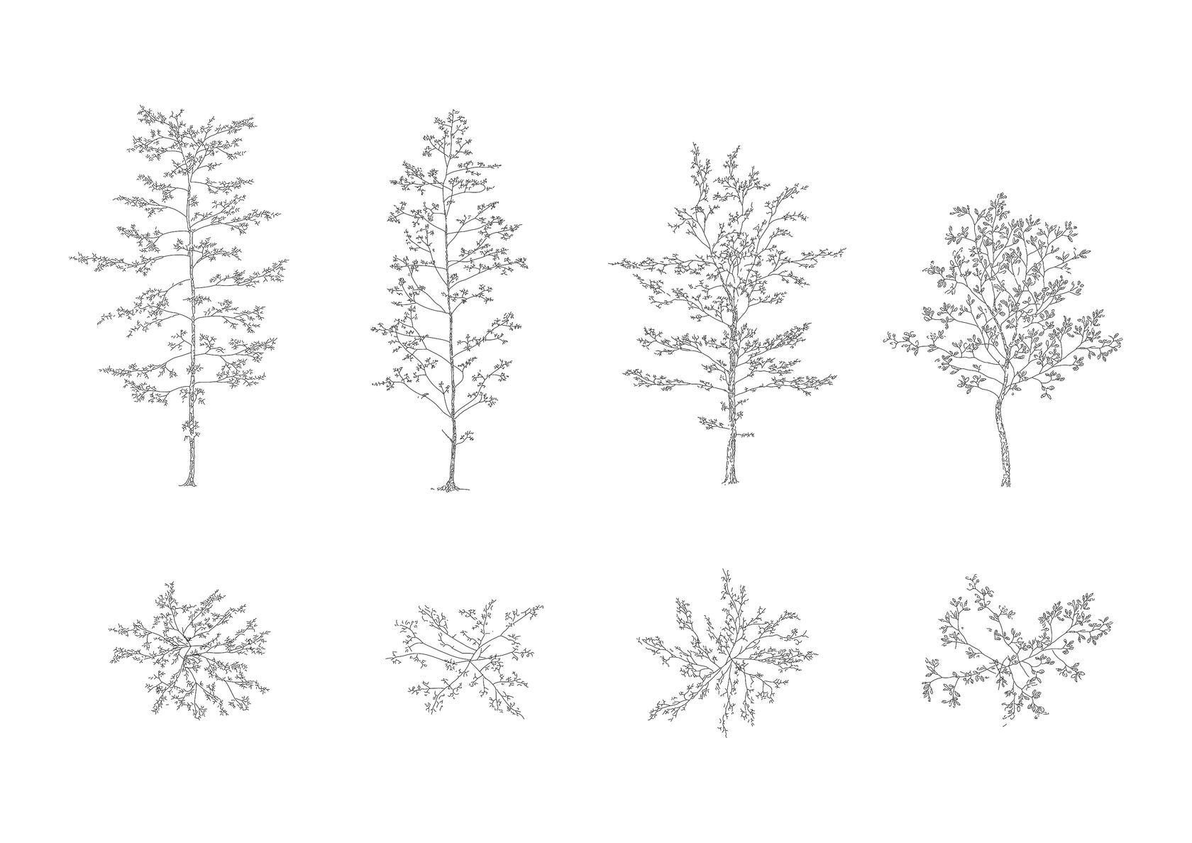 Trees and Pine Trees DWG CAD Blocks in Plan and Elevation (90 Pieces ...