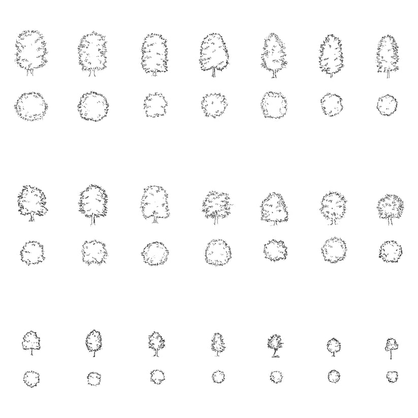 Trees DWG CAD Blocks in Plan and Elevation (20 pieces) #2 – Cadnature