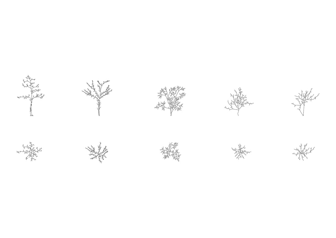Trees and Saplings DWG CAD Blocks in Plan and Elevation (30 pieces ...