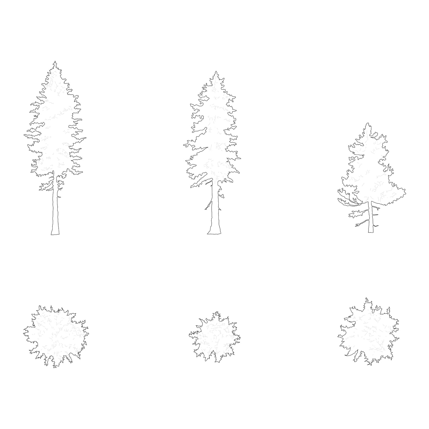 Pine Trees Silhouettes DWG CAD Blocks in Plan and Elevation (24 pieces ...