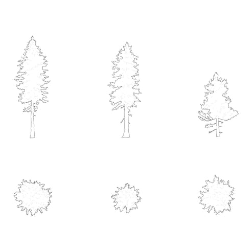 Pine Trees Silhouettes DWG CAD Blocks in Plan and Elevation (24 pieces ...