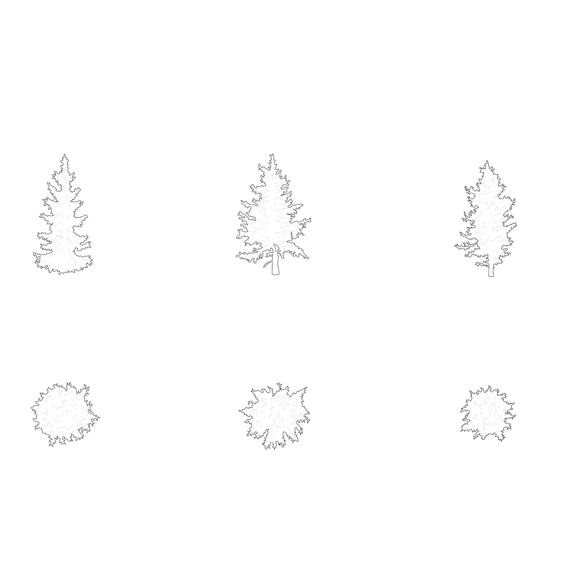 Pine Trees Silhouettes DWG CAD Blocks in Plan and Elevation (24 pieces ...