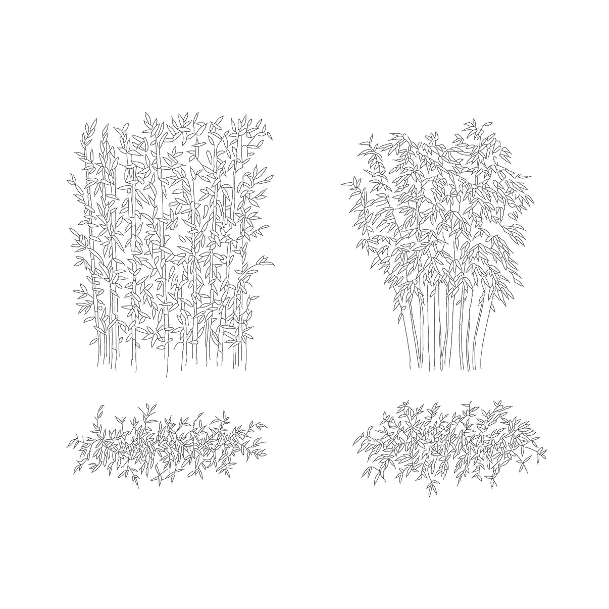 Bamboo DWG CAD Blocks in Plan and Elevation (20 Pieces) – Cadnature
