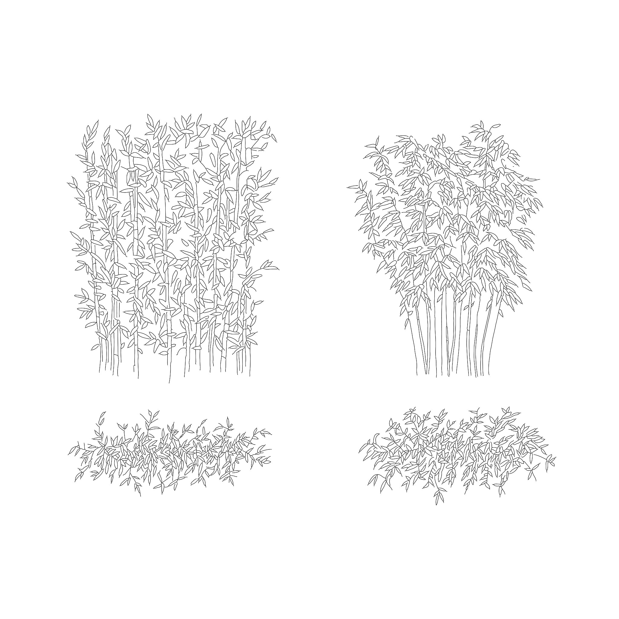 Bamboo DWG CAD Blocks in Plan and Elevation (20 Pieces) – Cadnature