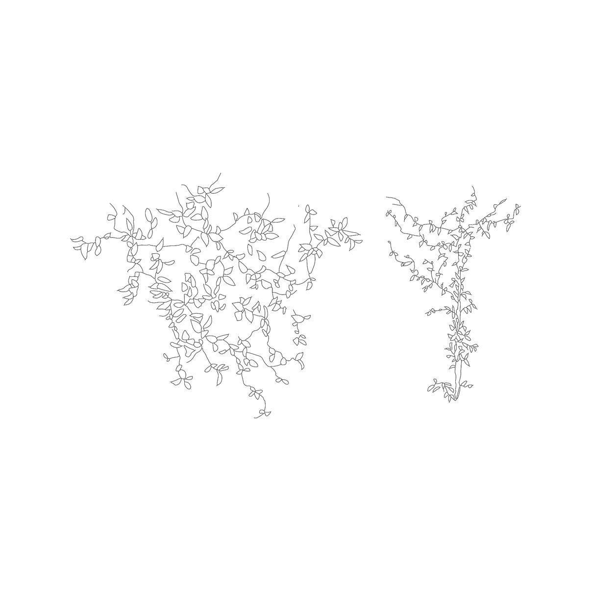 Ivy and Climbing Plants DWG CAD Blocks in Elevation (20+ Pieces ...