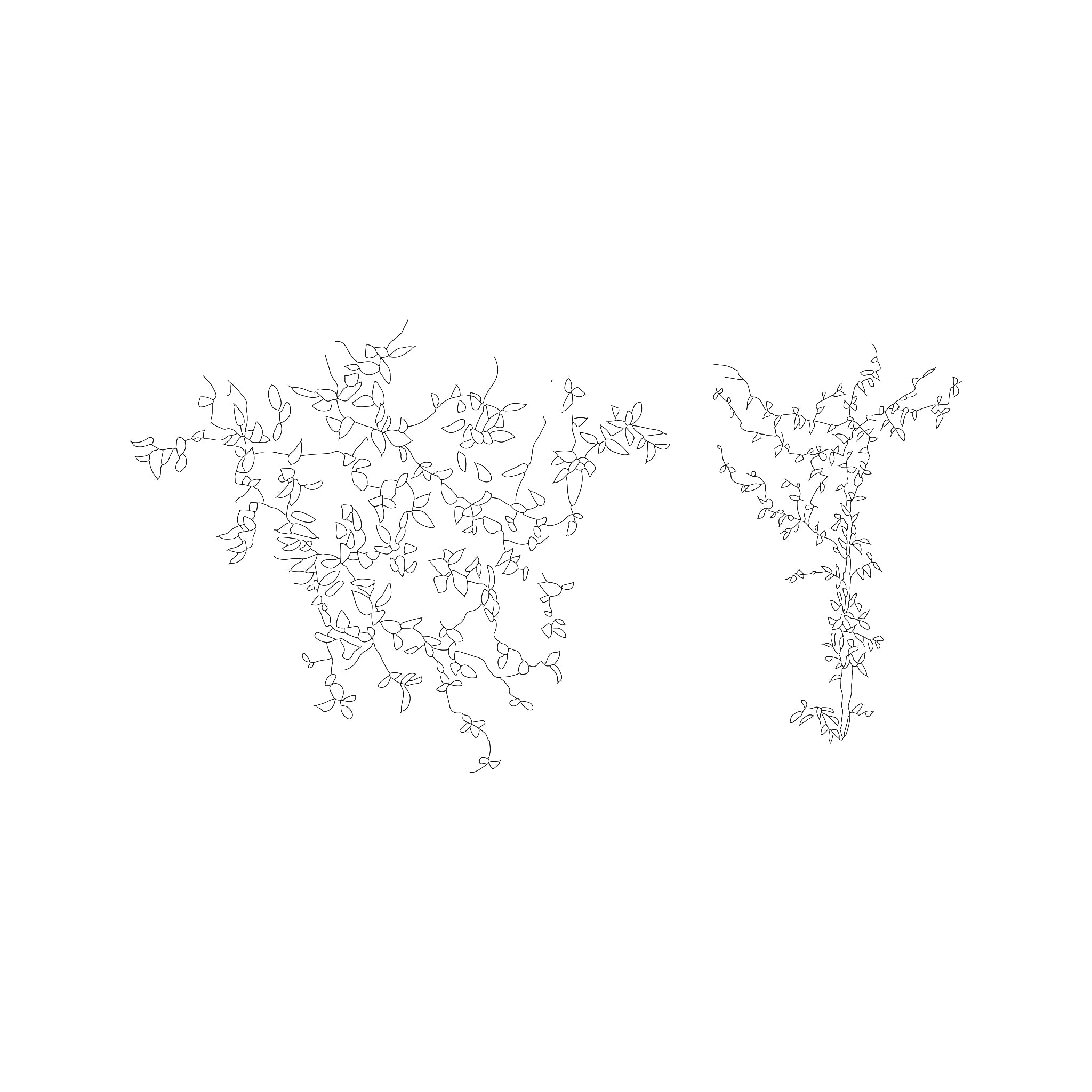 Ivy and Climbing Plants DWG CAD Blocks in Elevation (20+ Pieces ...
