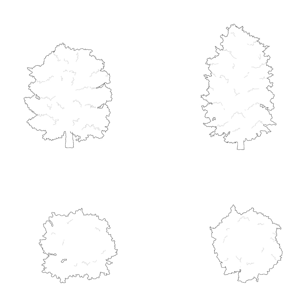 100 Trees DWG CAD Blocks in Plan and Elevation – Cadnature