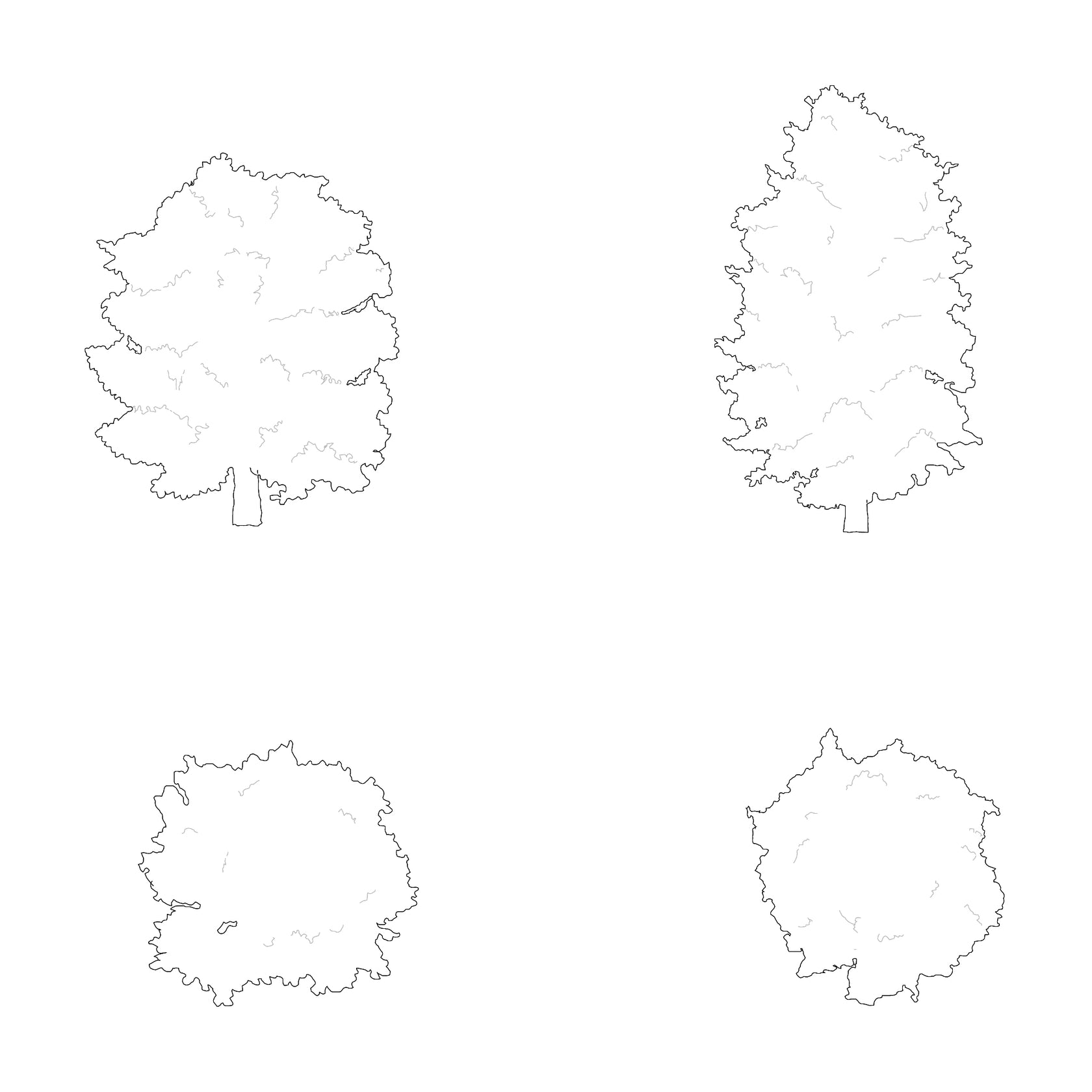 100 Trees DWG CAD Blocks in Plan and Elevation – Cadnature
