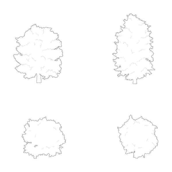 100 Trees DWG CAD Blocks in Plan and Elevation – Cadnature