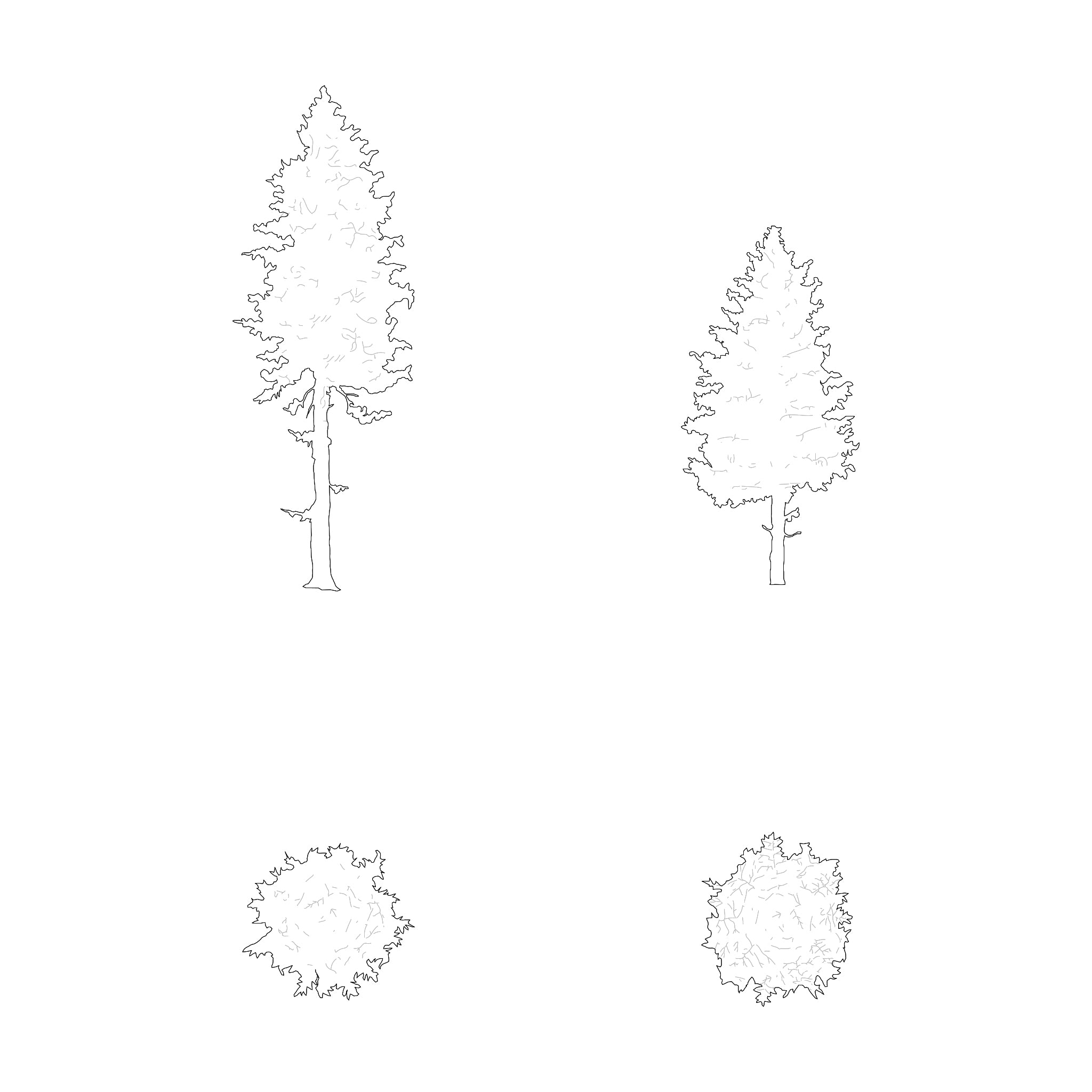 100 Trees DWG CAD Blocks in Plan and Elevation – Cadnature