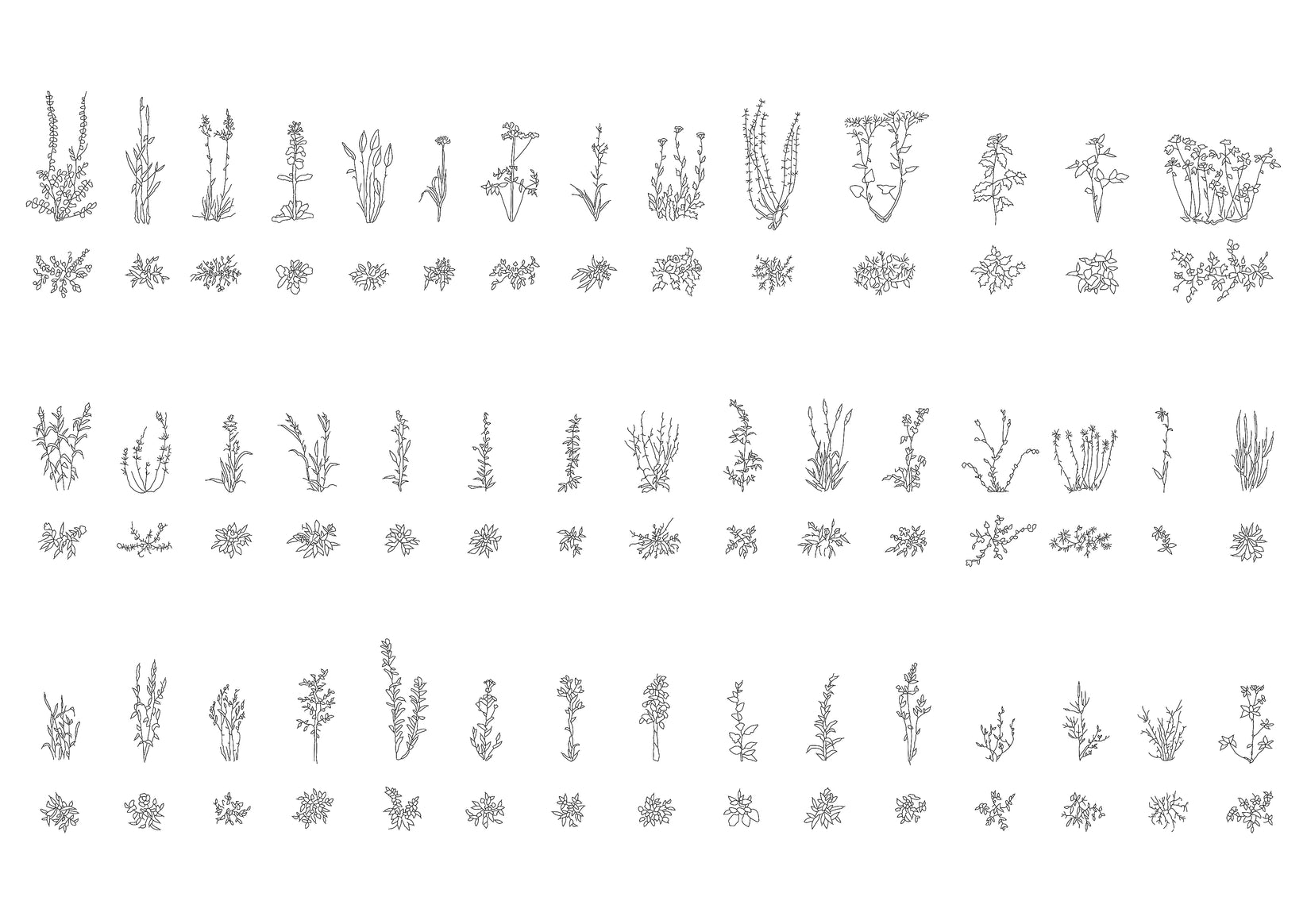 Wild Plants and Flowers DWG CAD Blocks in Plan and Elevation – Cadnature