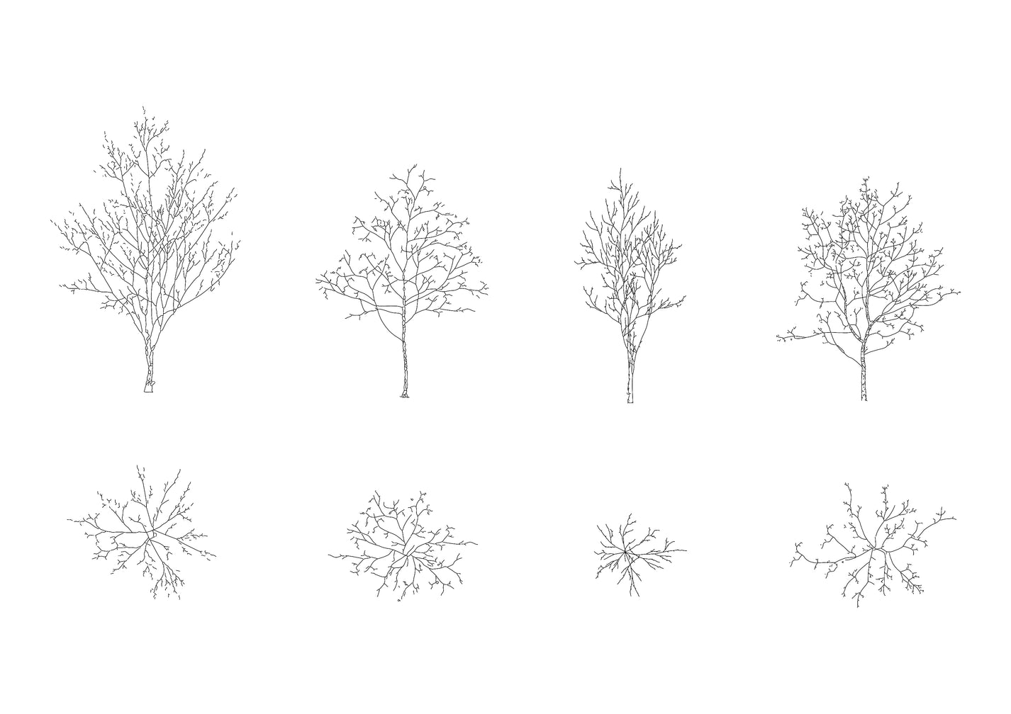 Trees and Saplings DWG CAD Blocks in Plan and Elevation (30 pieces) – Cadnature