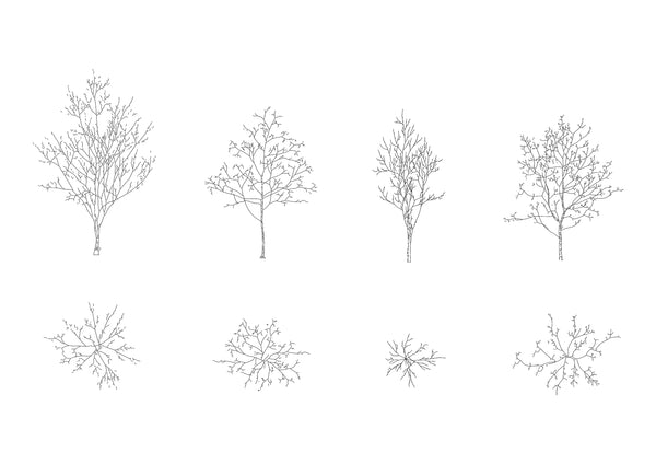 Trees and Saplings DWG CAD Blocks in Plan and Elevation (30 pieces ...