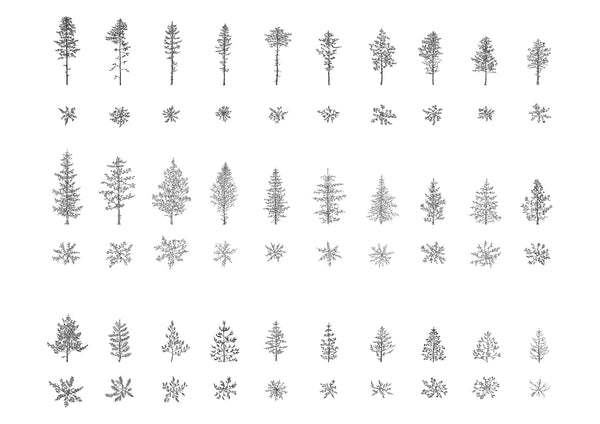 Pine Trees DWG CAD Blocks in Plan and Elevation (30 pieces) – Cadnature