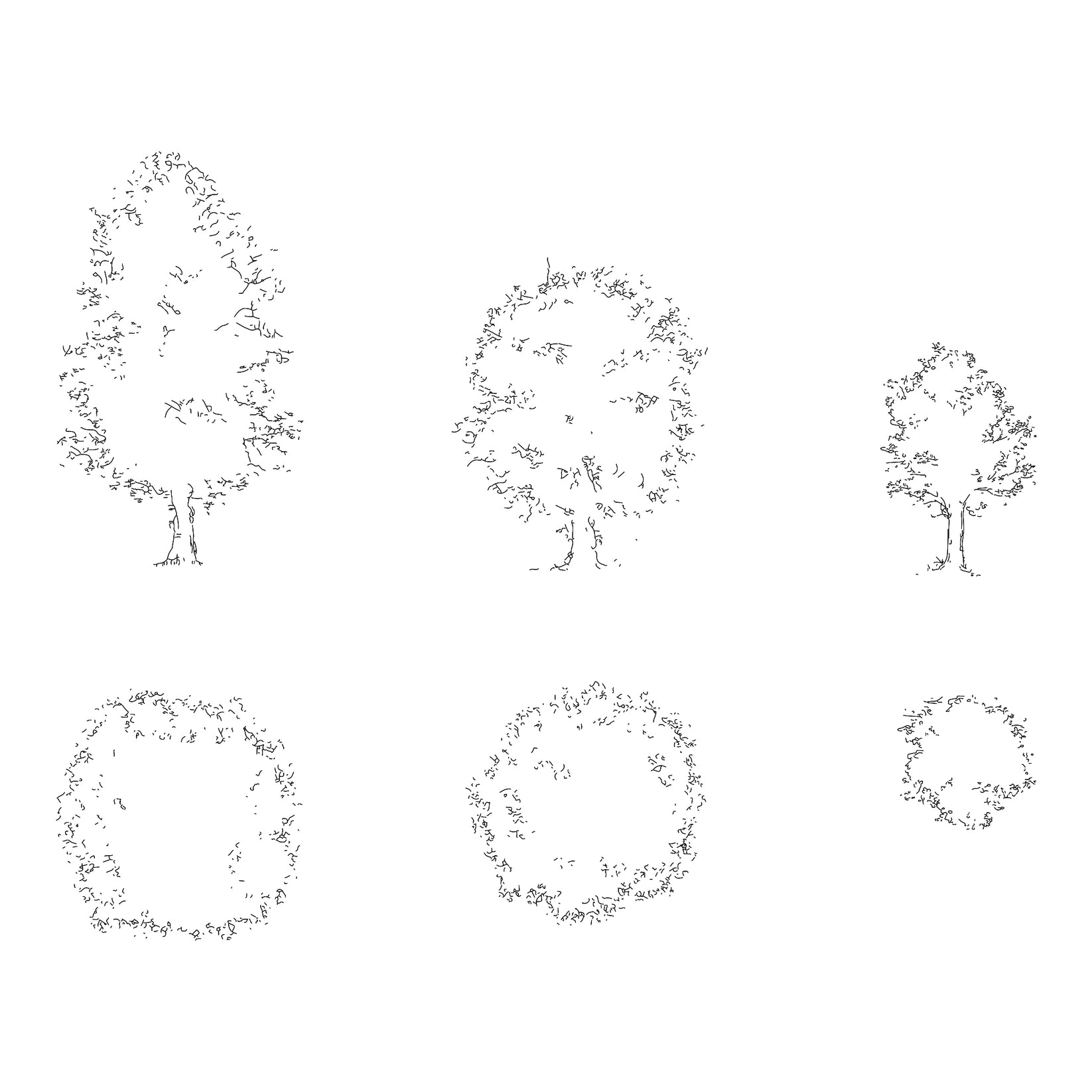 Trees DWG CAD Blocks in Plan and Elevation (20 pieces) #2 – Cadnature