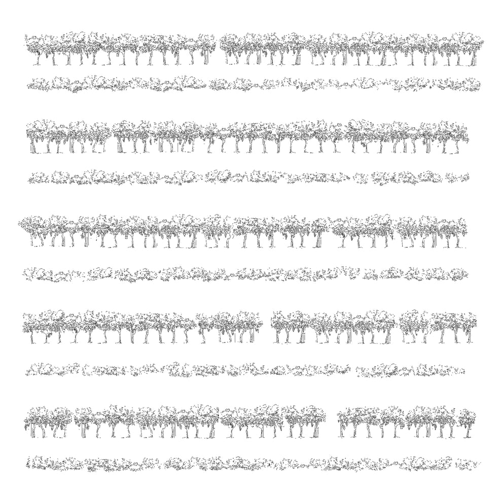 Vineyards DWG CAD Blocks in Plan and Elevation – Cadnature